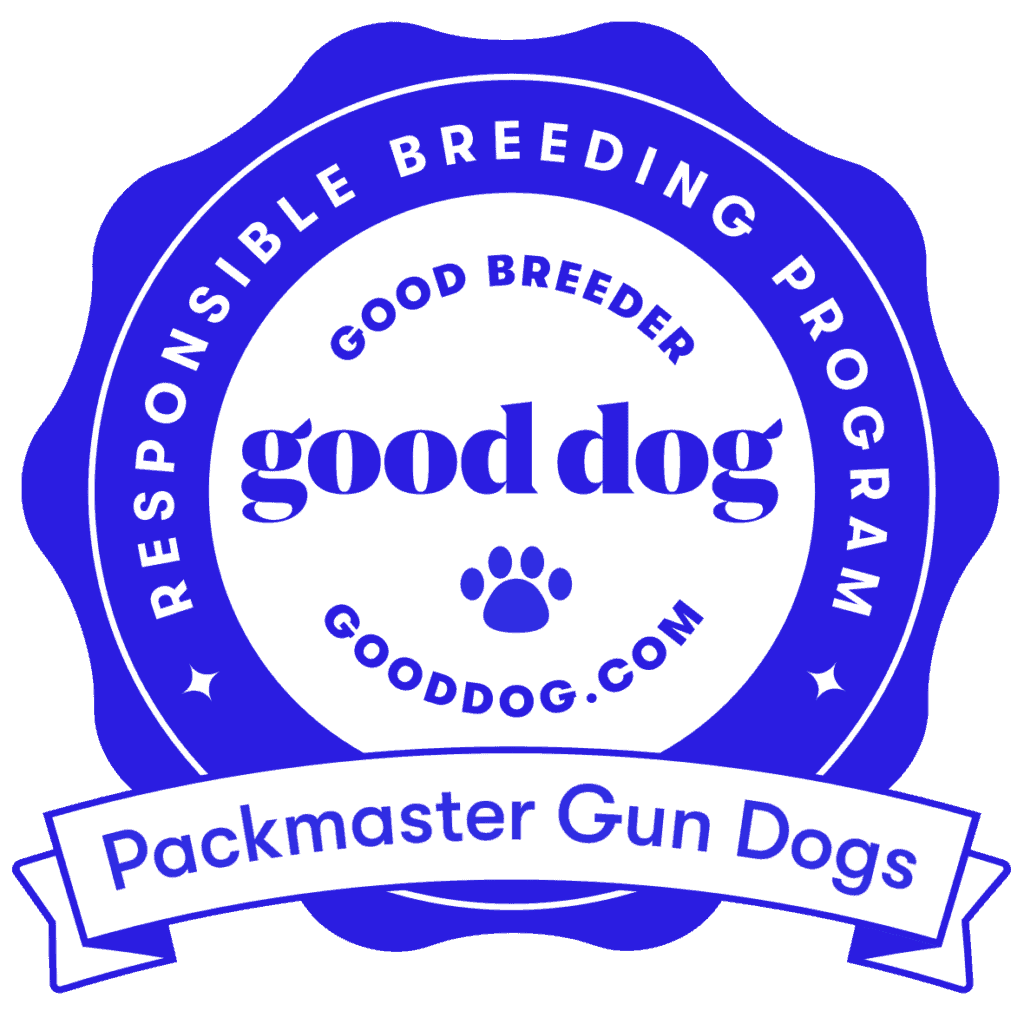 Packmaster Gun Dogs – Michigan’s Premier Breeder of Pudelpointers ...